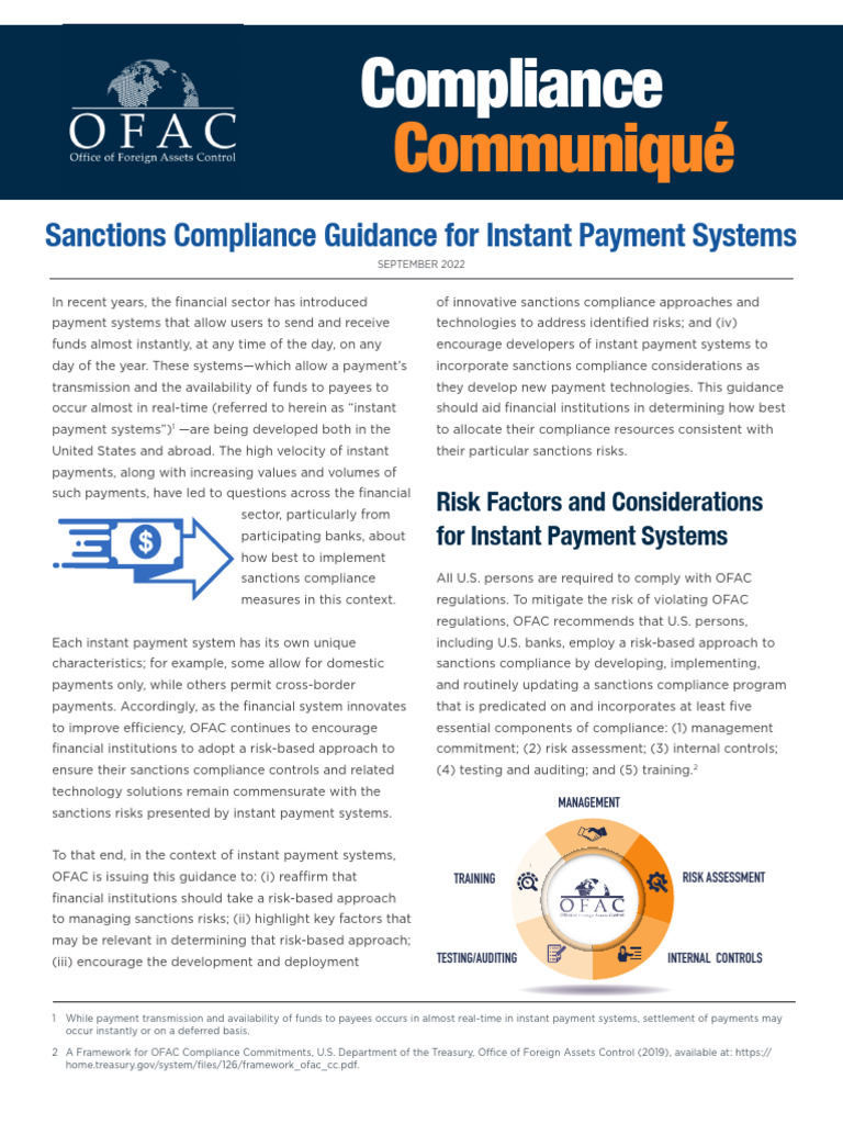 Instant Payment Systems Compliance Guidance Brochure | PDF | Payment ...