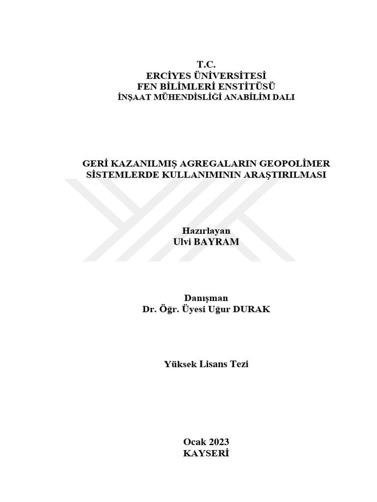 Örnek Tez Yazım | PDF