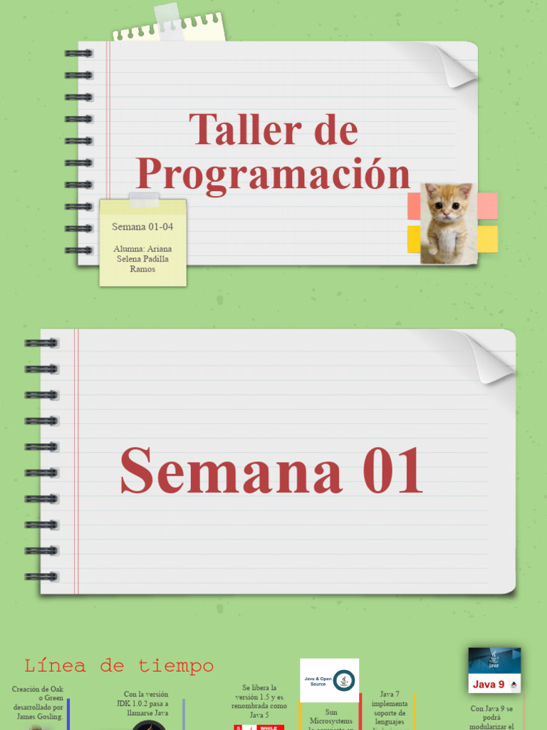 Padilla | PDF | Java (lenguaje de programación) | Ingeniería Informática