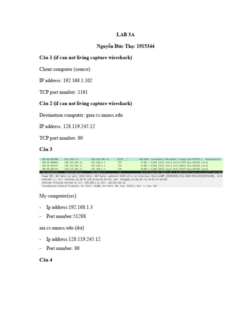 NguyenDucTho Lab3a | PDF | Transmission Control Protocol | Network Architecture
