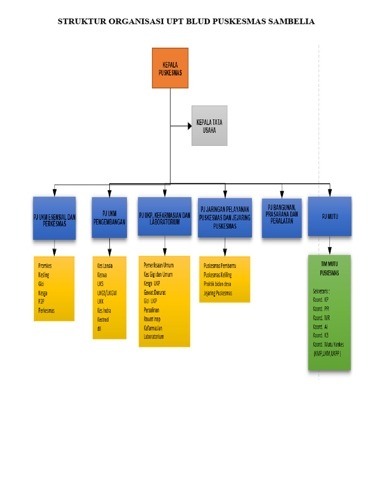 Struktur Organisasi Upt Blud Puskesmas Sambelia | PDF