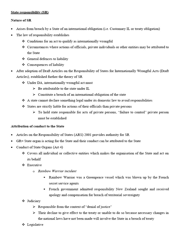 State Responsibility | PDF | Legal Liability | Treaty
