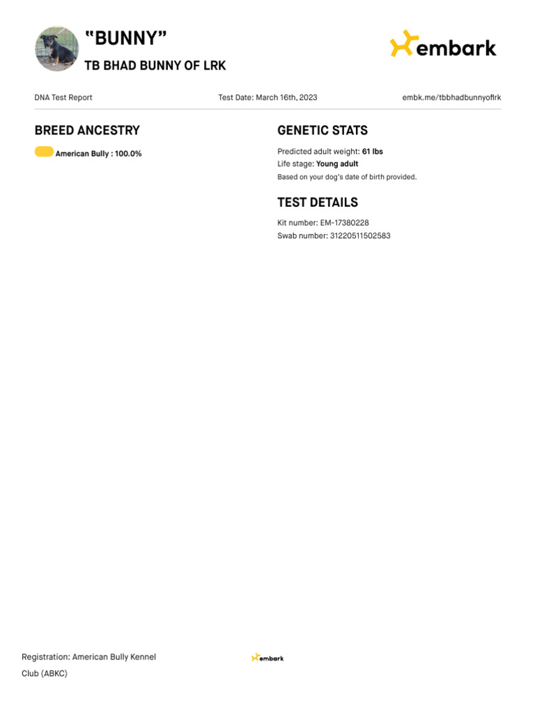 Embark Results | PDF | Genotype | Breeds