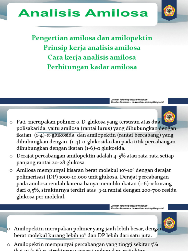 Analisis Kadar Amilosa pada Sorgum | PDF