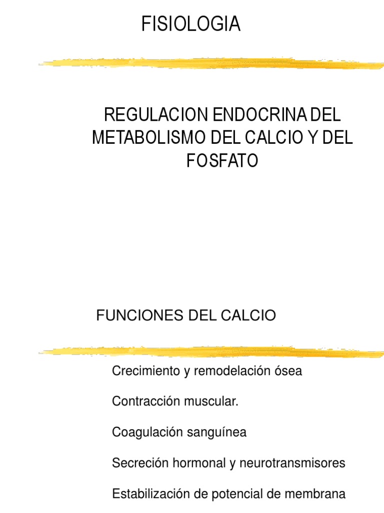 Calcemia | PDF | Calcio | Hueso