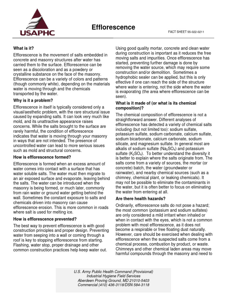 Efflorescence FS Feb 11 | PDF | Water | Salt (Chemistry)