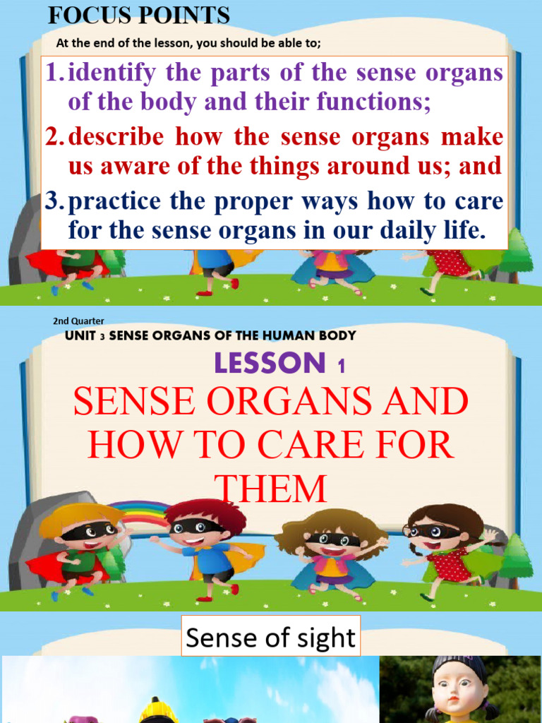 Grade 3 2nd Quarter Unit 3 Lesson 1 Sense Organs and How To Care For ...