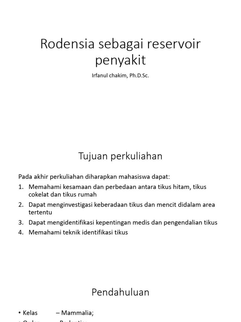 Compressed Materi | PDF