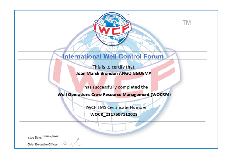 Well Operations Crew Resource Management | PDF