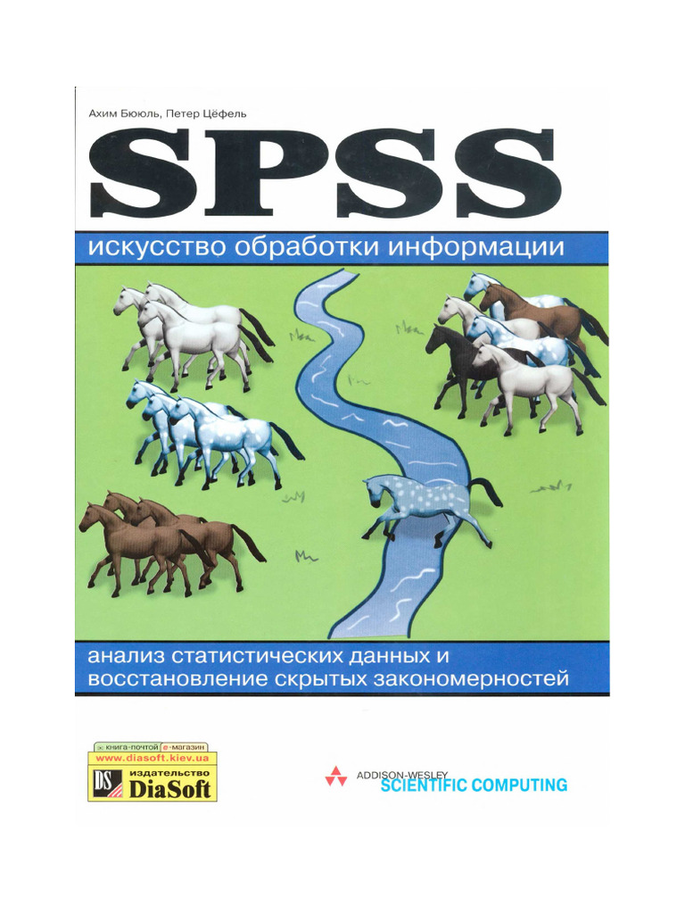 Biuiul Akhim Tsefel Peter Spss Iskusstvo Obrabotki Informats | PDF