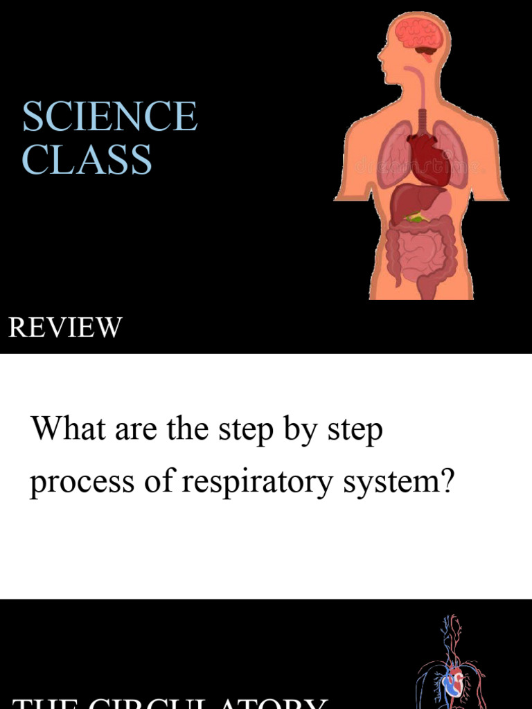 Grade 9 Circulatory System Overview | PDF | Heart | Artery
