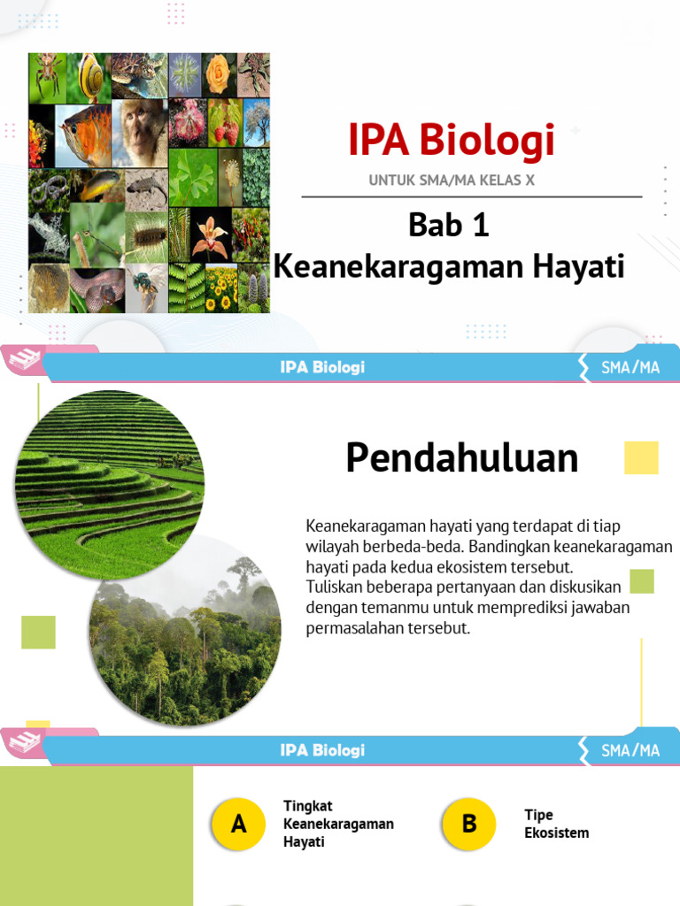 PPT Bab 1 IPA Biologi Kelas X Keanekaragaman Hayati | PDF