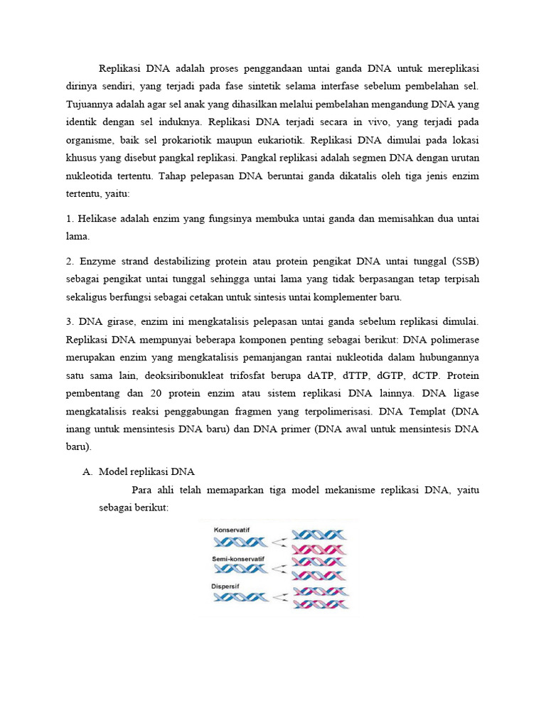 Replikasi DNA | PDF