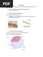 Définition et classification des métazoaires | PDF | Anatomie | Biologie