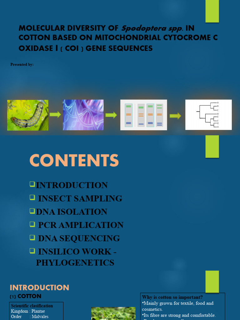 Insect, End Sem PPT Look | PDF | Cotton | Chemistry