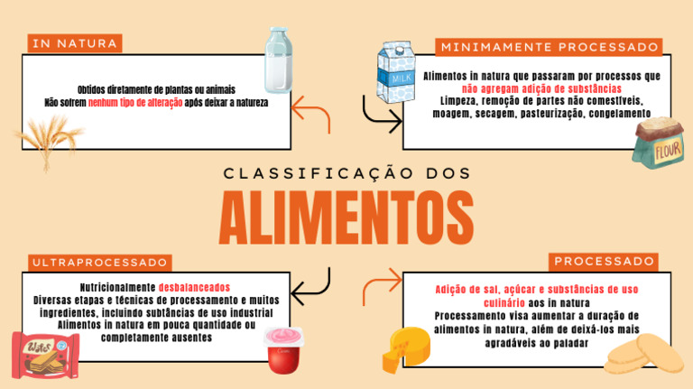 Classificação Dos Alimentos | PDF
