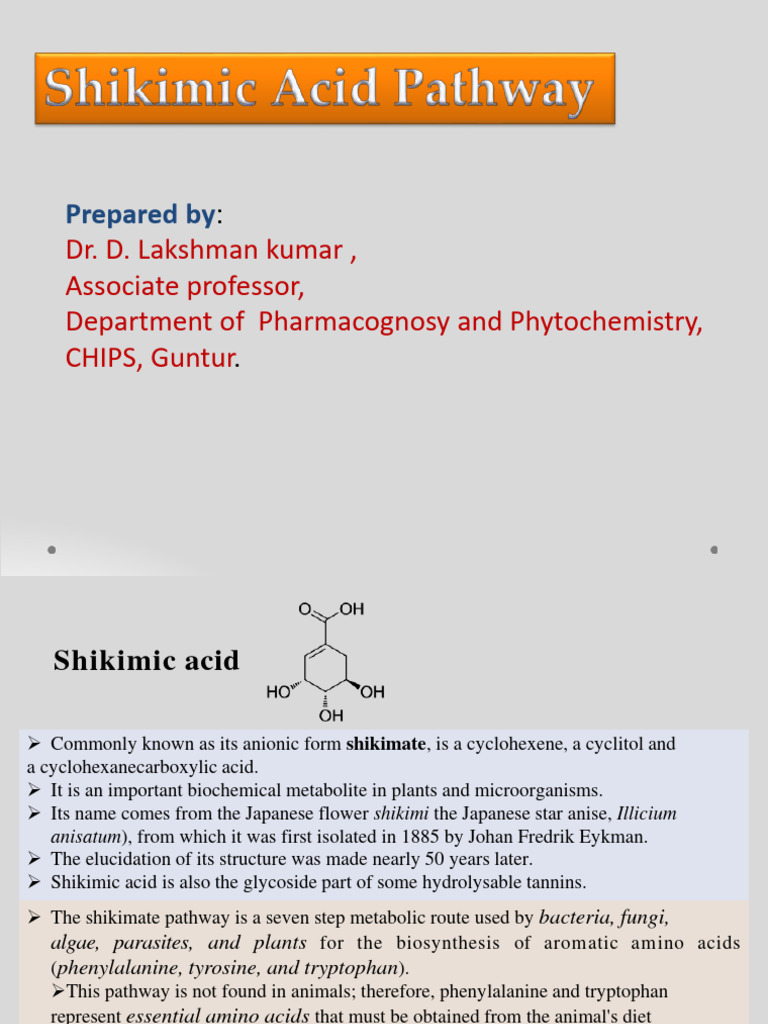 Shik I Mik Acid Pathway | PDF | Functional Group | Enzyme