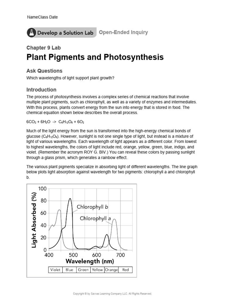 BIO CH09 Chapter Lab | PDF | Chlorophyll | Photosynthesis