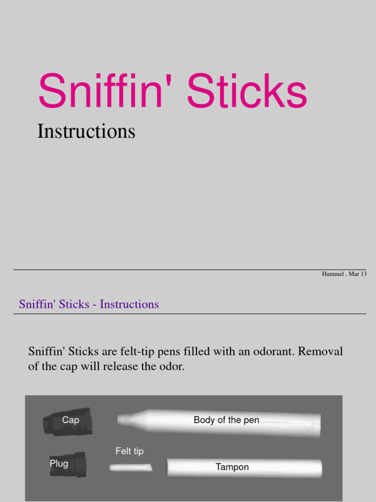 sticks_eng | PDF | Odor | Neuroscience