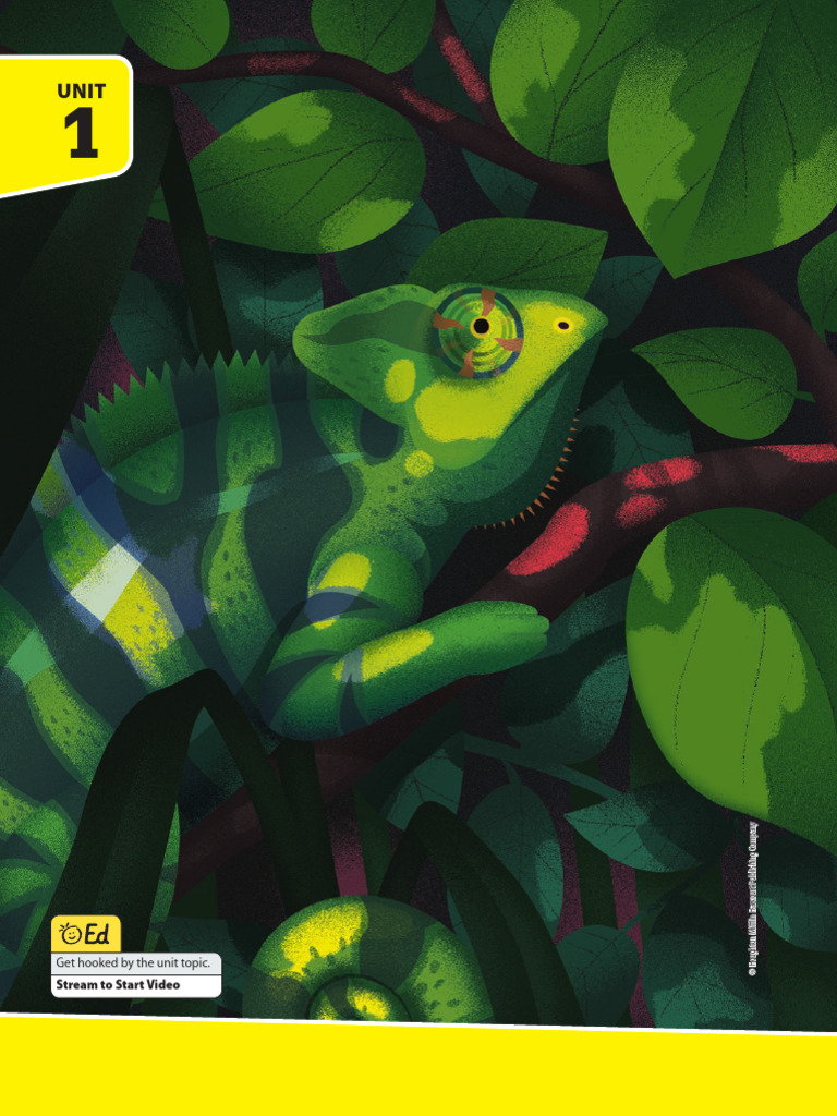 Unit 1 Realitycheck Ut | PDF | Plot (Narrative) | Reality