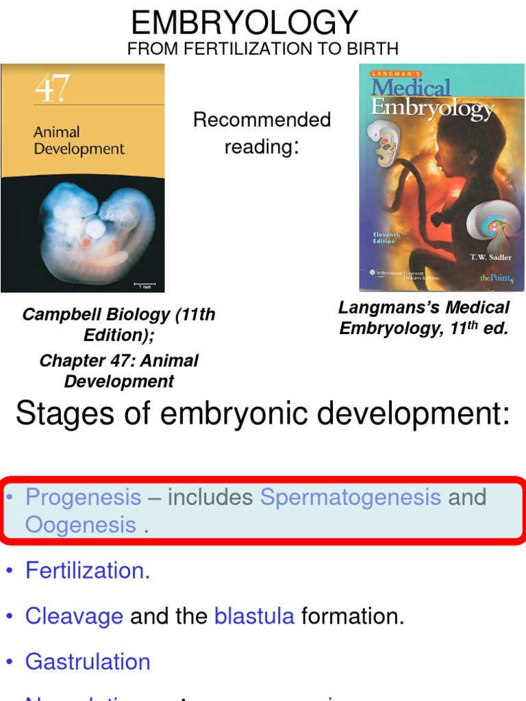 EMBRYOLOGY Part1 | PDF | Meiosis | Fertilisation