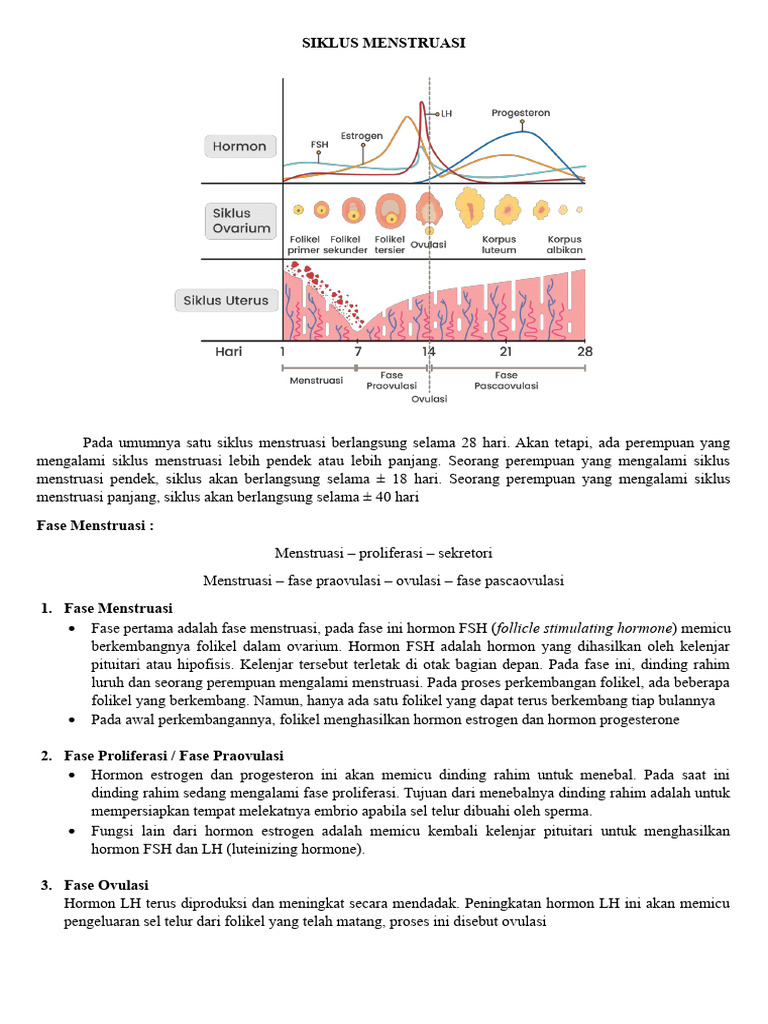 Siklus Menstruasi | PDF