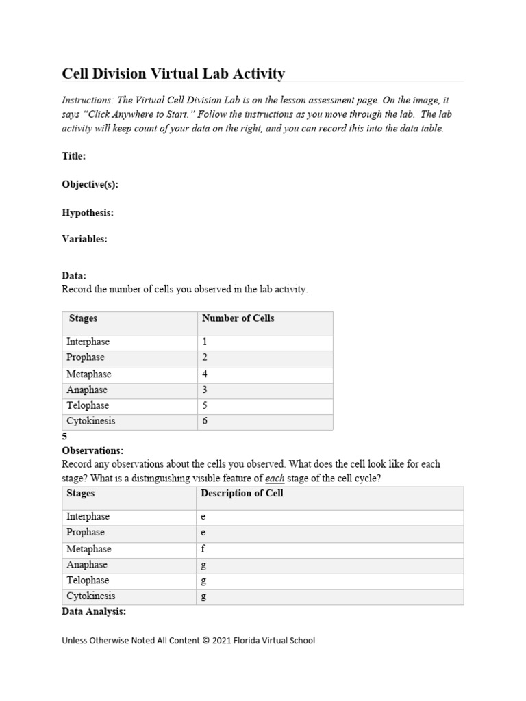 03 01 Virtual Cell Division | PDF | Mitosis | Cell Cycle