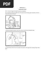 Respiratory System Study Guide | PDF | Exhalation | Respiratory Tract