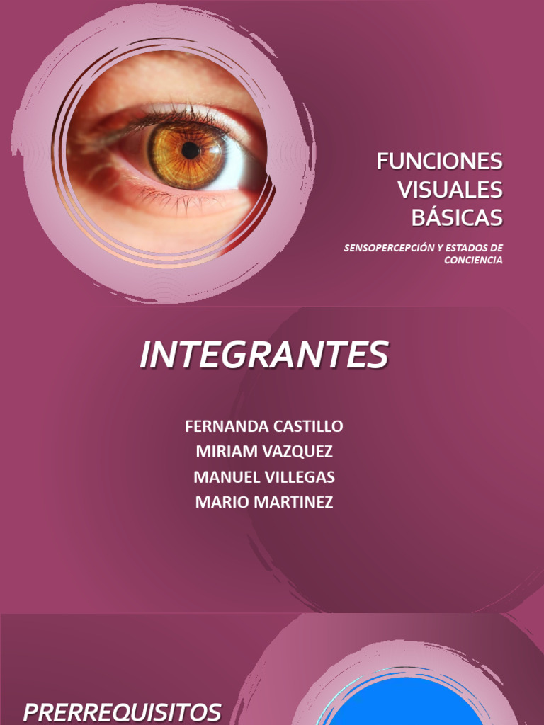 Funciones visuales básicas expo senso | PDF | Percepción visual | Percepción