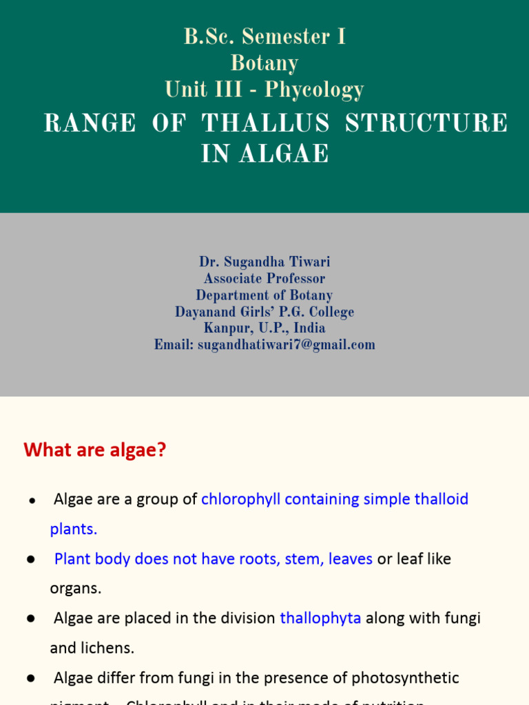 Range of Thallus Structure in Algae 3 | PDF | Algae | Cell (Biology)