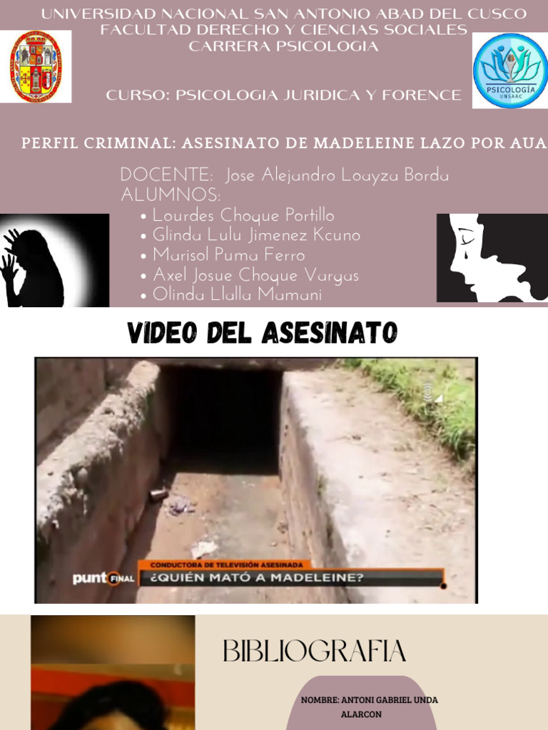 Caso de Madeleine Lazo | PDF