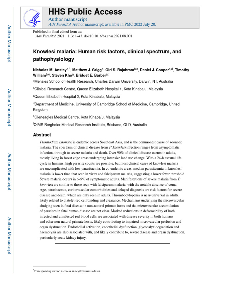 Knowlesi Malaria: Risks and Pathophysiology | PDF | Malaria | Plasmodium