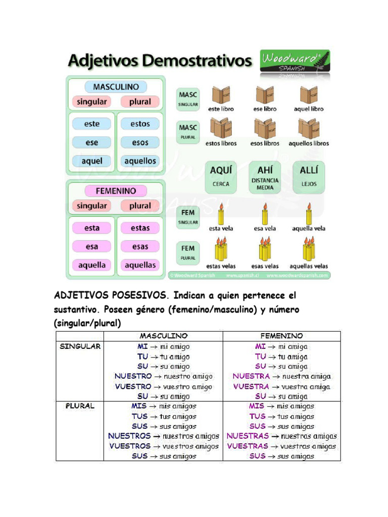 Adjetivos Posesivos: Uso y Ejemplos | PDF