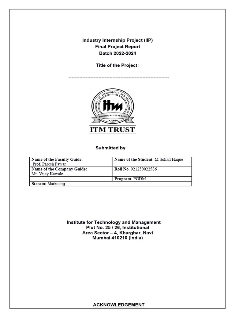 IIP Final Project Report | PDF | Consultant | Regulatory Compliance