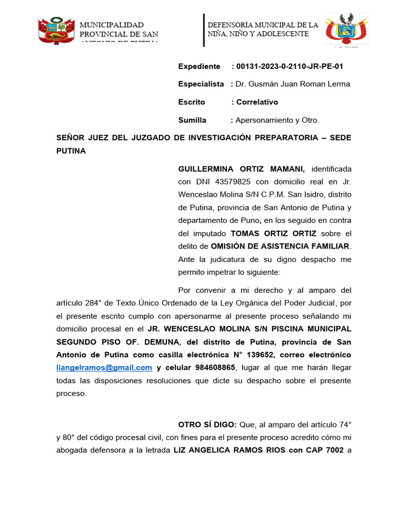 Apersonamiento - Guillermina | PDF | Ley constitucional | Principios éticos