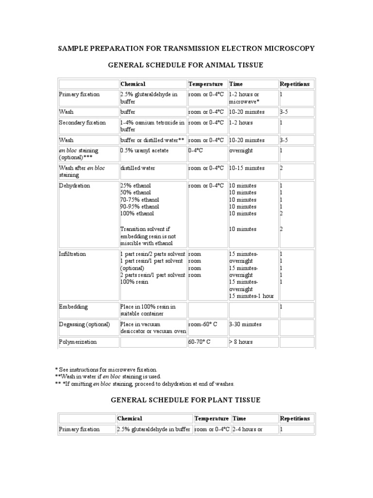 Sample Prep Tem Pdf Fixation Histology Staining