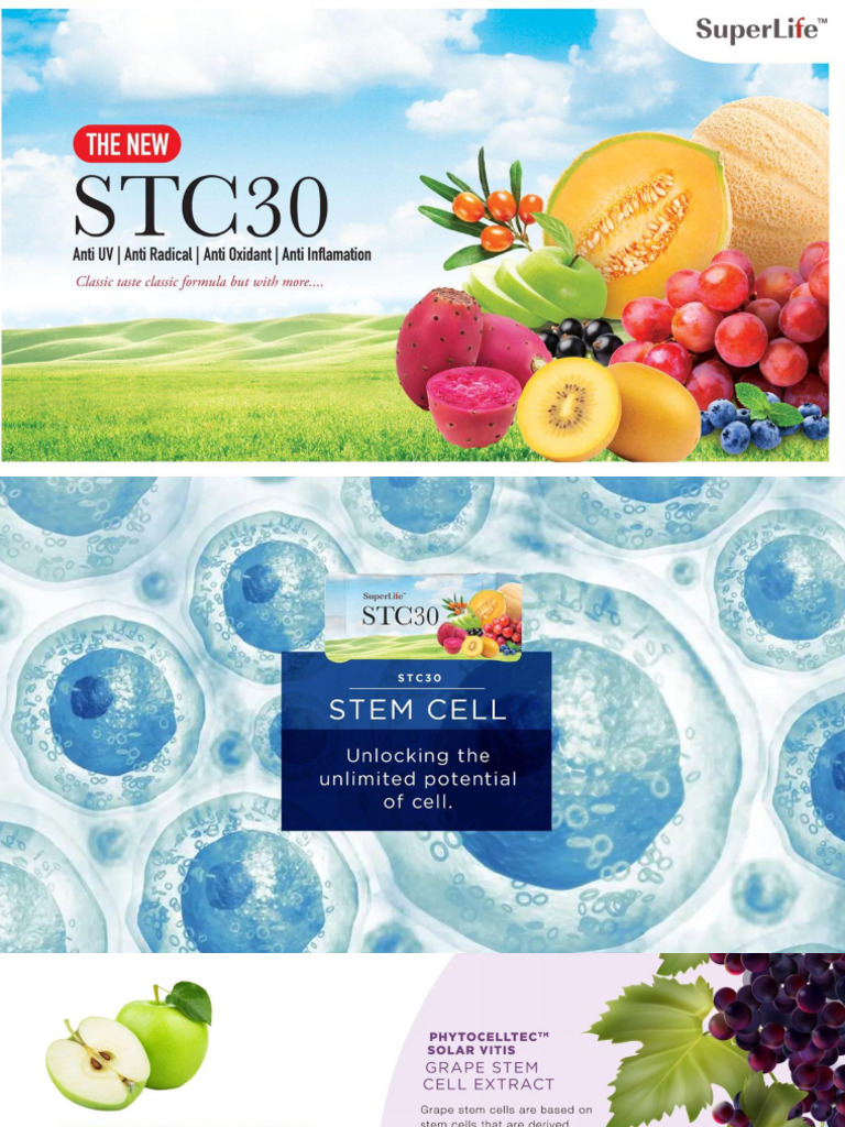 New Enhanced STC30 | PDF