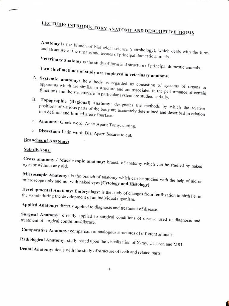 Introductory Anatomy and Descriptive Terms | Download Free PDF ...