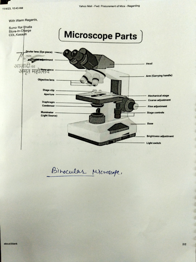 Microscope Practical Physio | PDF | Materials Science | Equipment