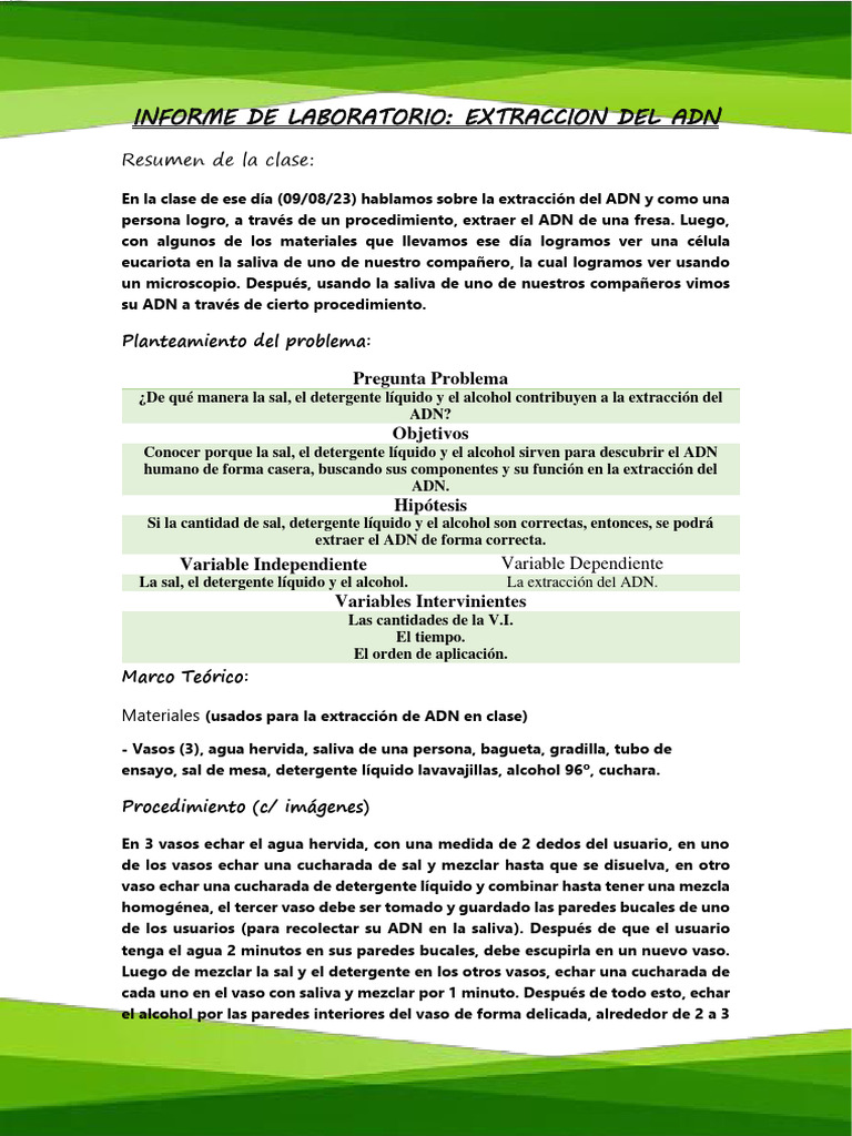 INFORME DE LABORATORIO | PDF | Adn | Biología Celular)