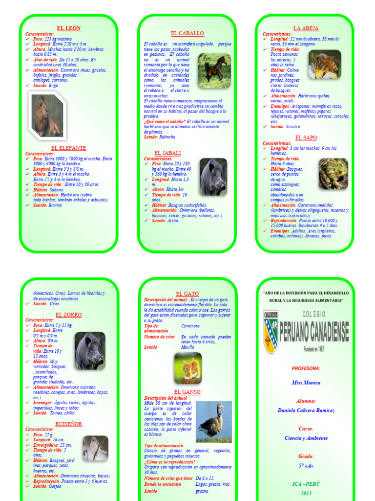 Animales Triptico | PDF | Caballos