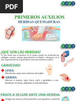 Primeros Auxilios Triptico | PDF | Primeros auxilios | Enfermedades y trastornos humanos