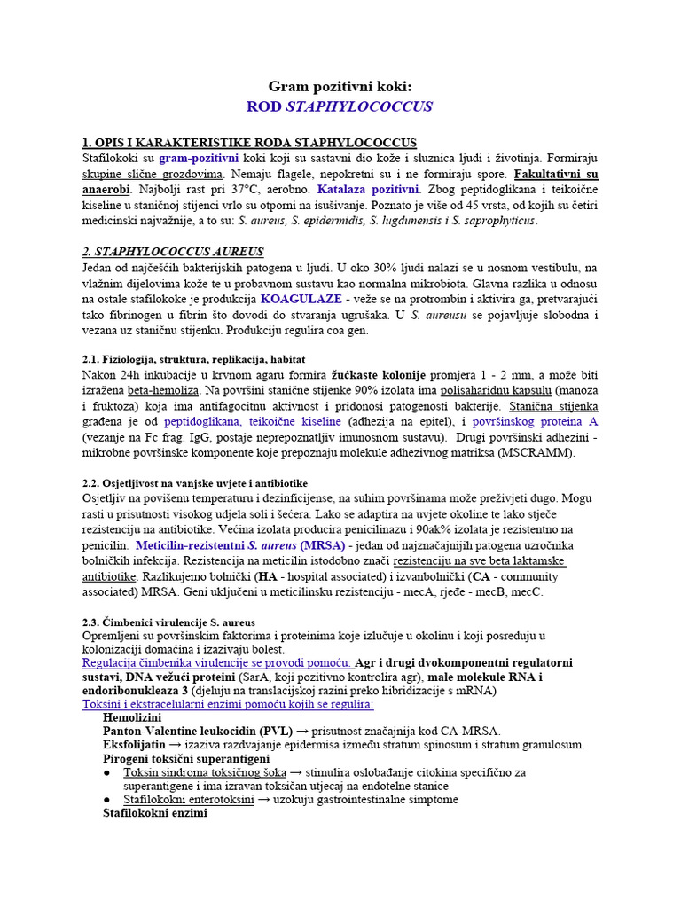 GRAM+ KOKI Stafilokoki | PDF