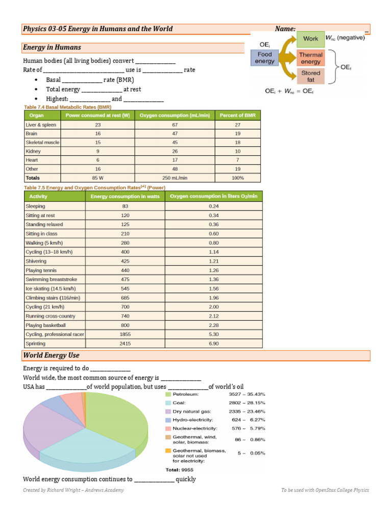 Physics 03-05 Energy in Humans and The World | PDF | Calorie | Food Energy