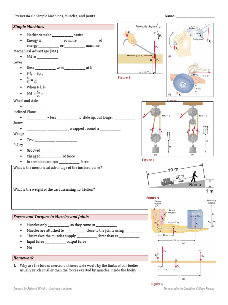 Physics 04-03 Simple Machines, Muscles, and Joints | PDF | Machines | Lever
