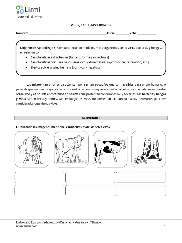 Oa5 - Septimo Ciencias Unidad3 | PDF | Procariota | Organismos