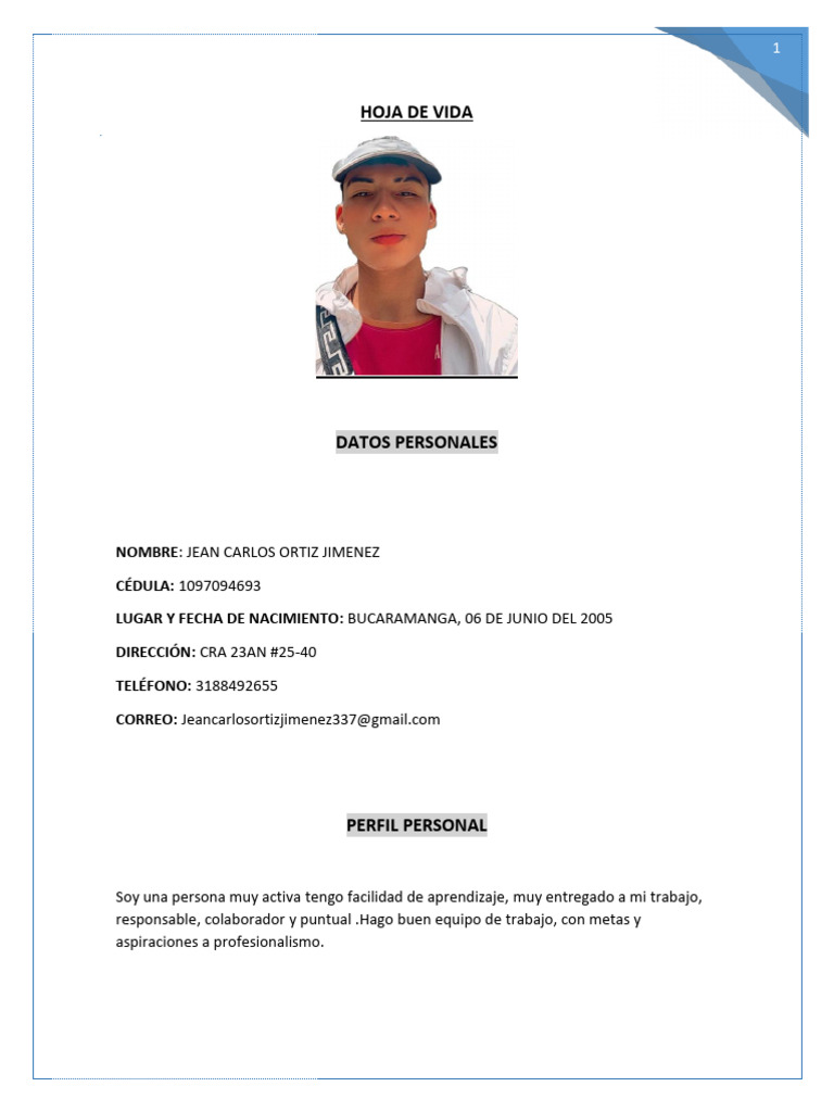 Hoja de Vida Jean PDF | PDF