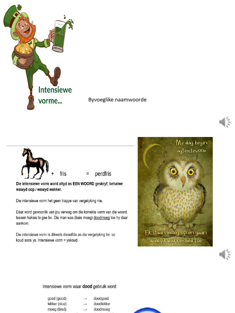 Intensive Form For Afrikaans | PDF