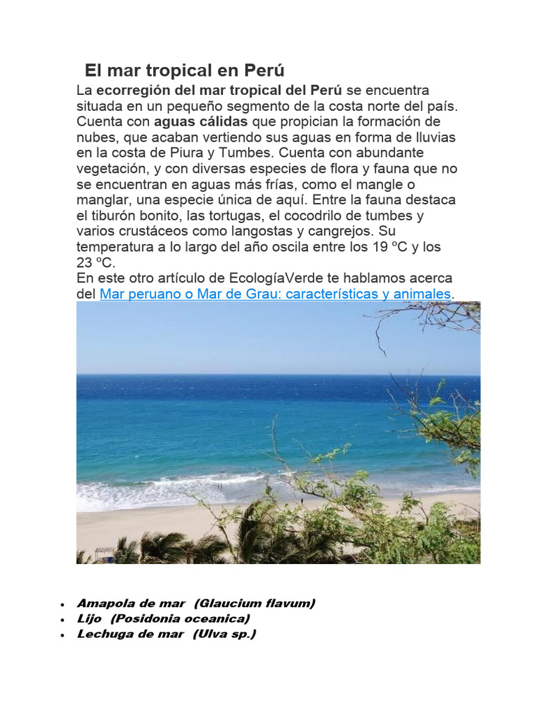 Características del Mar Tropical Peruano | PDF | Desierto | Perú