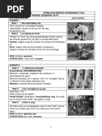 How Om 'N Dekbrief en CV Te Skryf | PDF